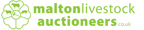 Malton Livestock Auctioneers – A Working Partnership between Cundalls ...